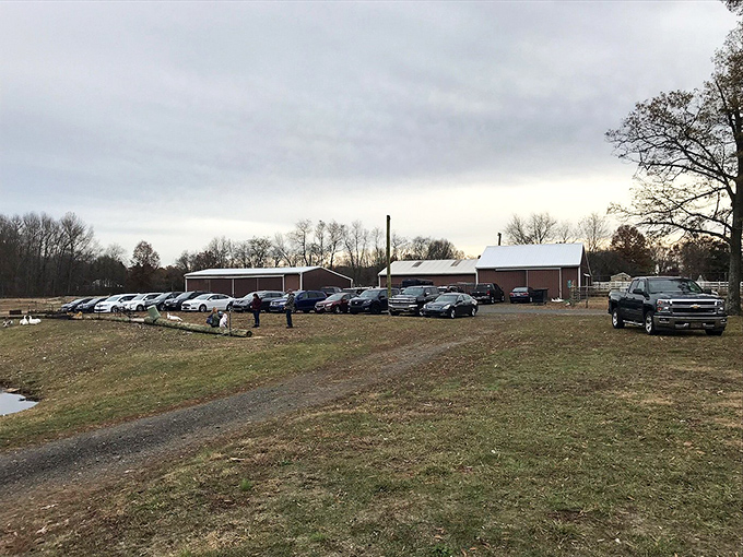 Who needs a retirement hobby when you can visit Hill Billy Hills? These barns house more charm than your average shopping mall.
