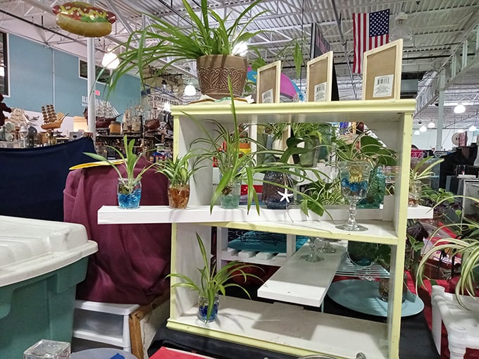 Even plant lovers find their happy place here. These aren't just houseplants; they're future heirlooms waiting for their forever windowsills.