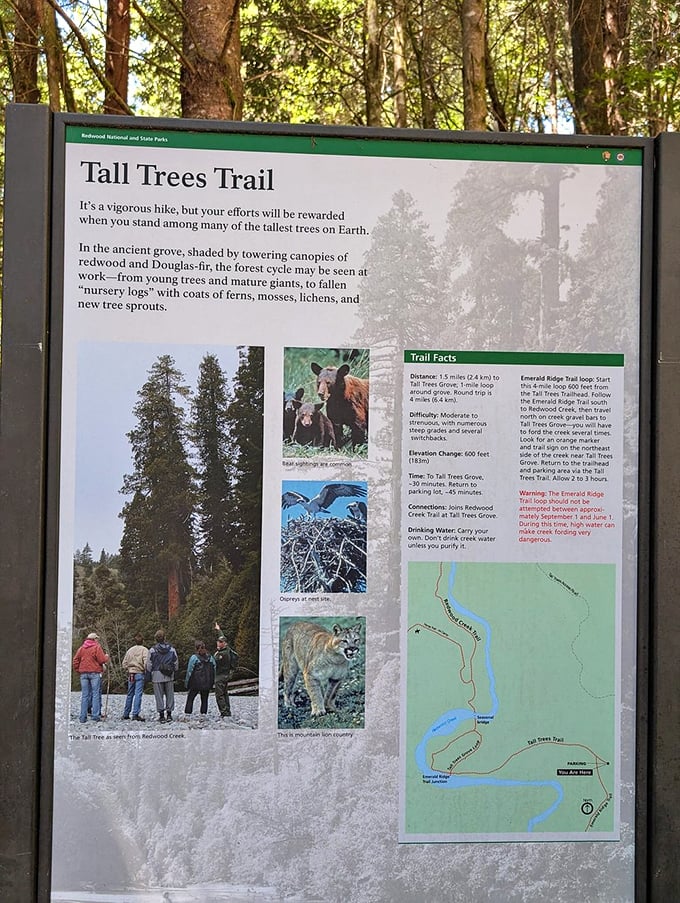 The trail map doesn't mention the side effect of visiting: a permanent crick in your neck from looking up in constant amazement.
