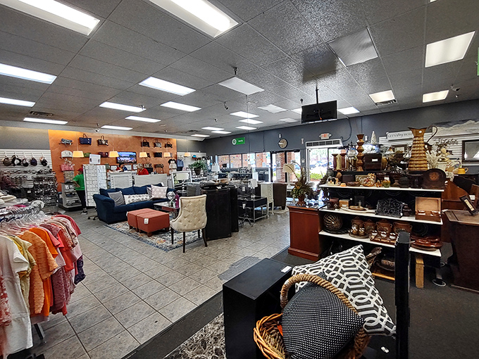 Where organization meets opportunity. Unlike your uncle's garage sale, you won't need an archaeology degree to find that perfect piece.