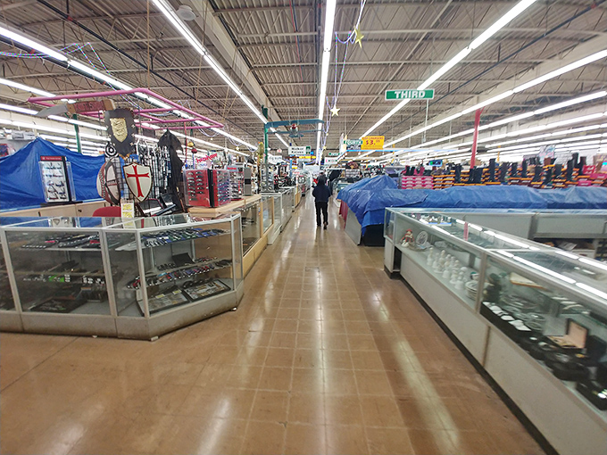 Wide aisles stretch toward the horizon, each one a street in this indoor city of commerce where retail rules are gleefully ignored.