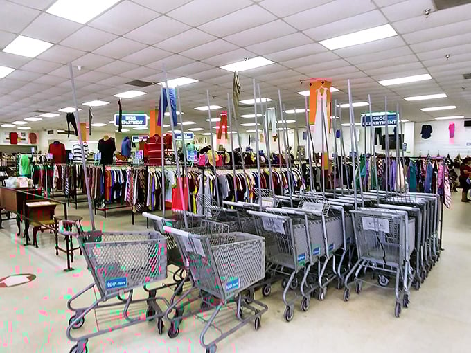 The battlefield of bargains awaits with its rows of possibility. Those shopping carts stand ready like chariots for modern-day treasure hunters.