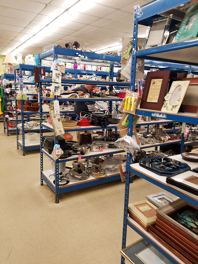 Blue shelves stacked with kitchen treasures that whisper tales of family dinners past. One person's cast-off skillet is another's heirloom-in-waiting.