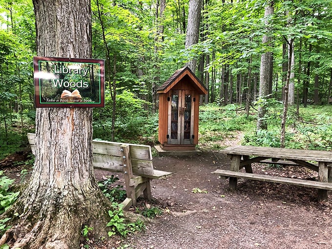 Whoever thought of putting a tiny library in the woods deserves a literary Nobel Prize &ndash; books and nature, the original power couple.