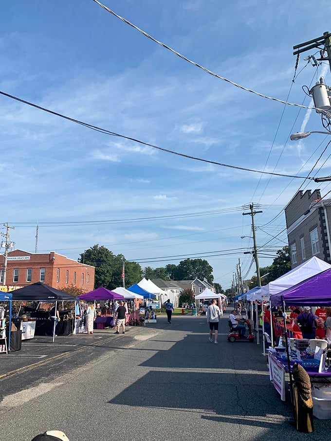 Harrington's farmers market transforms ordinary streets into vibrant community gathering spots where conversations flow as freely as the fresh produce changes hands.