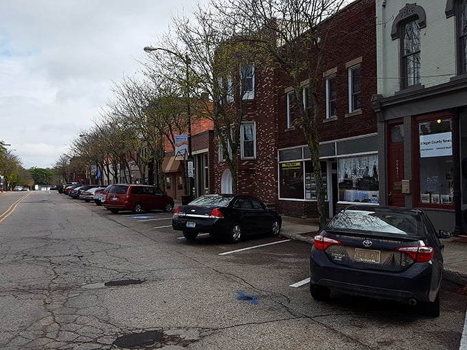 Main Street Allegan offers that perfect small-town vibe where parking is plentiful and you're never more than a few steps from something interesting.