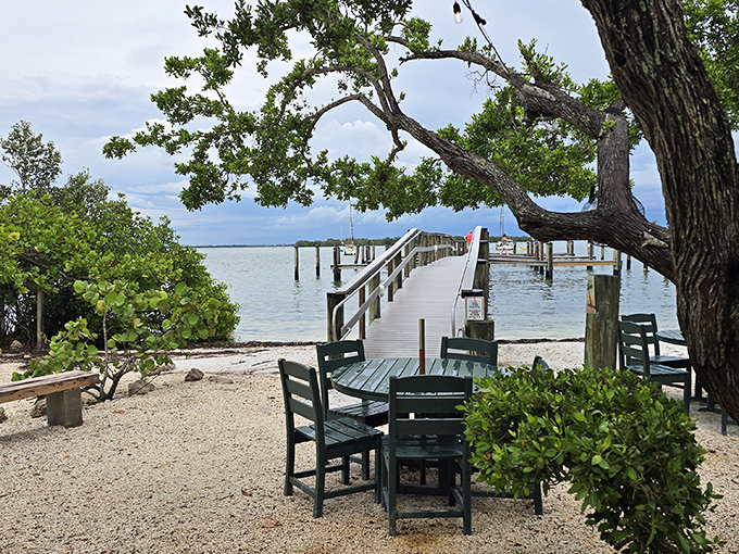 Dining with your toes practically in the sand. Mar Vista's waterfront tables under ancient buttonwoods offer the quintessential Florida dining experience.