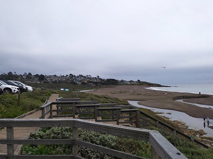 Even on foggy days, Cambria's boardwalk delivers front-row seats to nature's greatest show&mdash;no ticket required, just bring your sense of wonder.