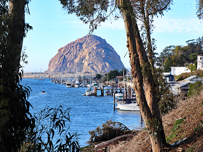 Morro Rock plays peekaboo through eucalyptus trees, reminding you why they call this stretch of California "the gold coast" &ndash; and it's not just the sunlight.