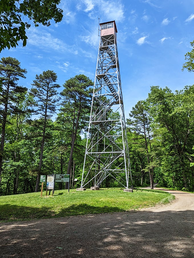 This fire tower isn't just a landmark&mdash;it's your ticket to panoramic views that'll make your Instagram followers think you've discovered Ohio's Grand Canyon.
