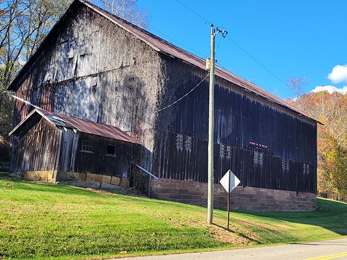 If barns could talk, this weathered beauty would tell tales of harvest moons, summer storms, and generations of farmers who knew the value of building things to last.