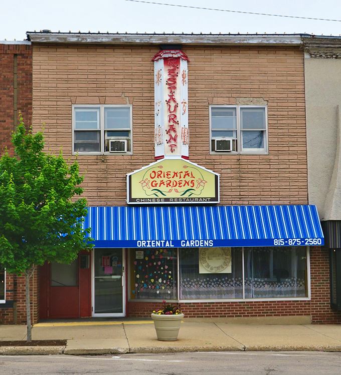 Oriental Gardens' vintage sign promises a culinary time capsule – the kind of place where egg rolls achieve legendary status and regulars have "the usual."
