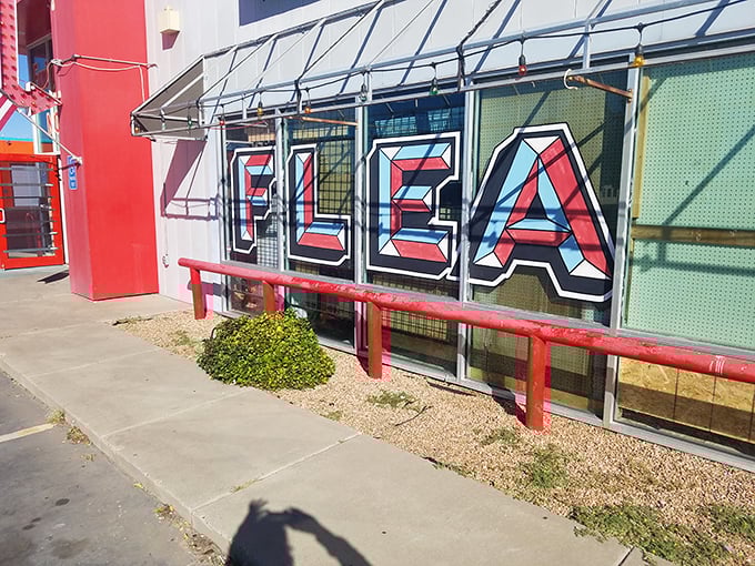 Even the exterior screams "treasures inside!" with its bold lettering. Like a Vegas sign for the bargain-hunting crowd.