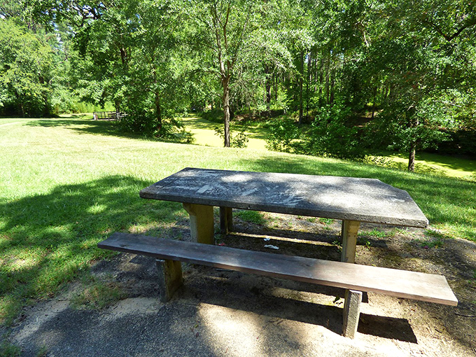 This isn't just a picnic table&mdash;it's Newberry's version of al fresco dining, where the only reservation needed is the one you make with yourself.