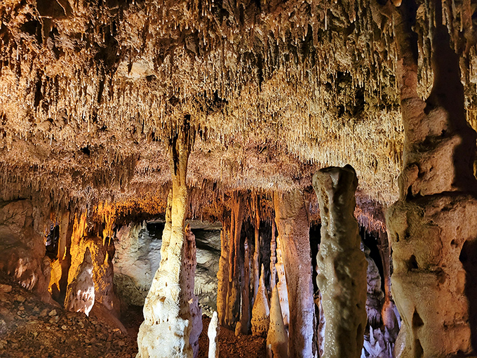 This isn't modern art&mdash;it's Mother Nature showing off. These delicate formations have been growing one drop at a time since woolly mammoths roamed above.