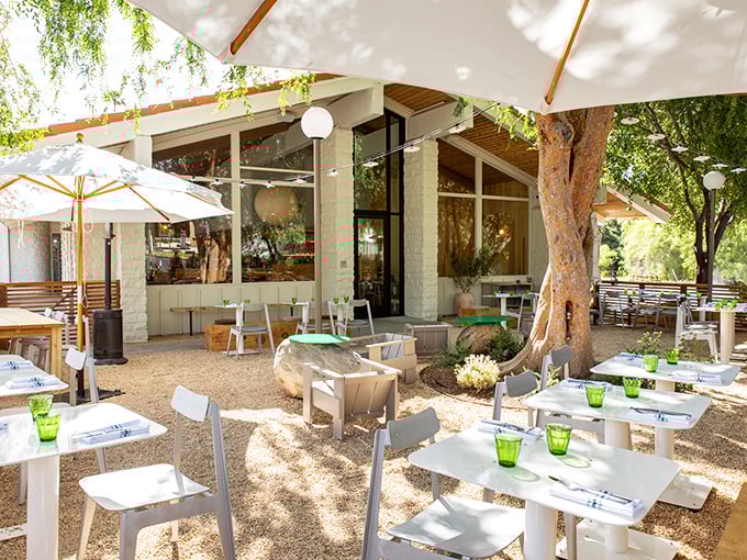Dappled sunlight plays through olive trees at this outdoor dining haven. The green glassware practically begs for a crisp local wine.