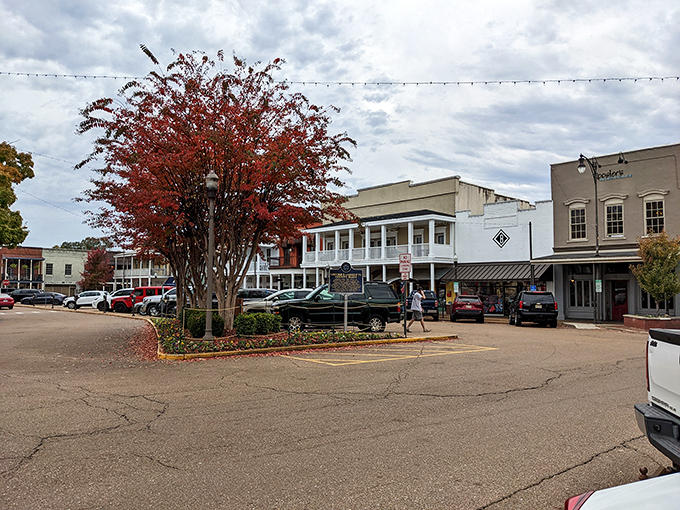 Fall in Oxford brings nature's own art installation to the square, where crimson leaves frame historic buildings like a living postcard.