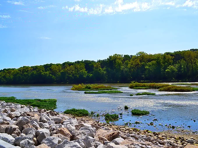River poetry in slow motion. Sunlight plays across the shallow waters while rocky islands create natural stepping stones for adventurous herons.