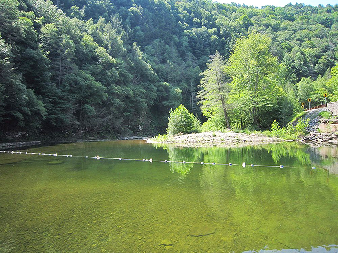 Mother Nature's swimming pool comes complete with forest-green walls and crystal-clear water. No chlorine, just pure Pennsylvania mountain refreshment.