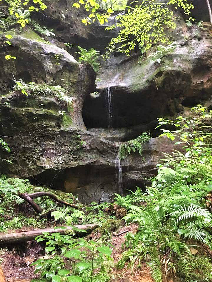 This delicate waterfall drapery proves that sometimes the most beautiful things come in smaller packages, especially when framed by ferns and mossy stone.