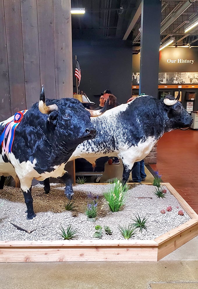 These magnificent bovine sculptures pay homage to Ohio's agricultural roots&mdash;and make for conversation-starting photo ops that'll impress your Facebook friends.