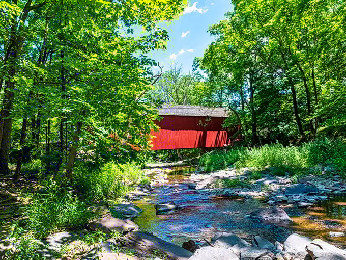 Summer transforms Cabin Run into a postcard-perfect scene. The creek's gentle babble provides nature's soundtrack as the bridge stands sentinel in vibrant red.
