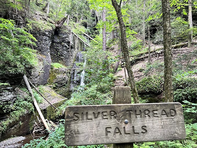 Silver Thread Falls offers a delicate preview of the natural wonders awaiting deeper in the forest.