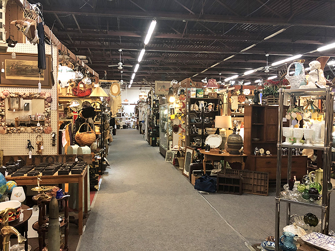 Aisles that stretch into infinity, each turn revealing new possibilities. It's like Disney World for the nostalgic soul.