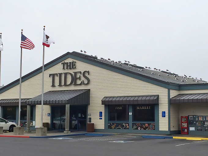 The Tides: Where seagulls hold committee meetings on the roof while inside, seafood dreams come true for the rest of us.