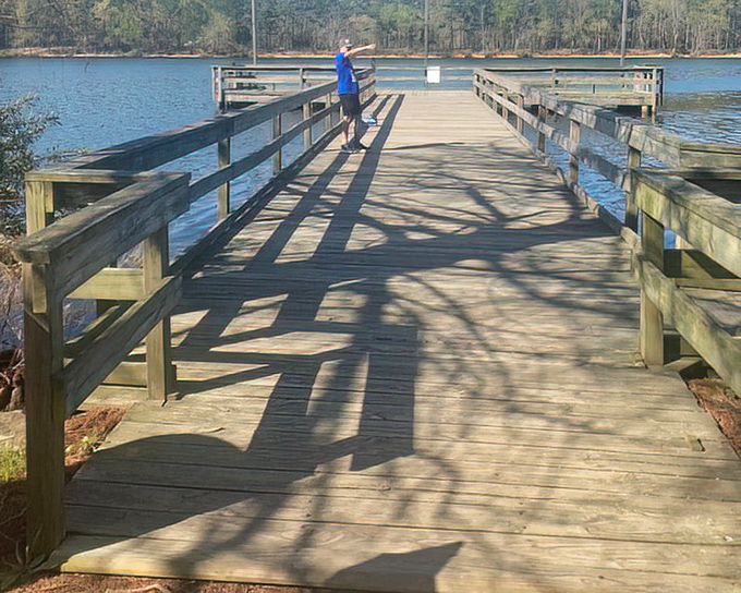 The wooden pier stretches toward possibility. A perfect spot for contemplating life's big questions or just wondering what's for lunch.