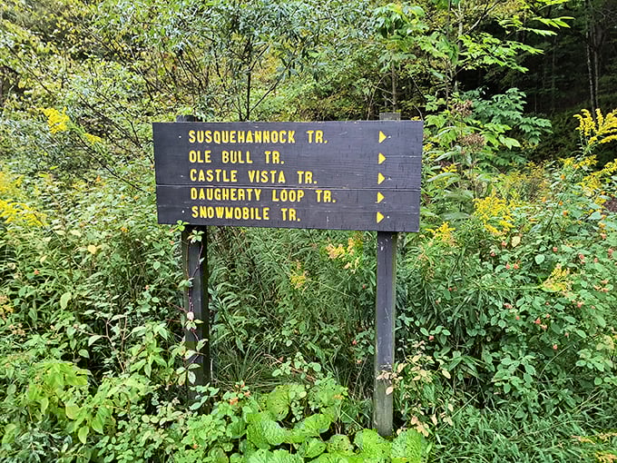 Trail signs that promise adventure in every direction &ndash; like a choose-your-own-outdoor-novel where every ending involves spectacular views and possibly sore calves.