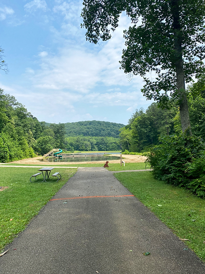 This walking path practically whispers, "Come see what's around the bend." Nature's version of a cliffhanger.