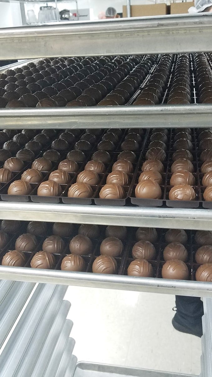 Chocolate soldiers standing at attention, each truffle awaiting its mission to deliver moments of pure bliss to deserving taste buds.