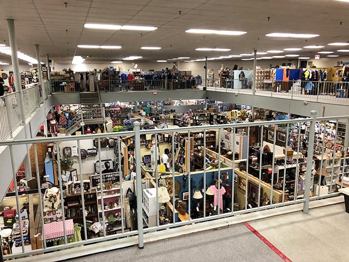 A bird's-eye view of organized chaos. From this vantage point, you can plot your treasure-hunting strategy like a general surveying the battlefield.