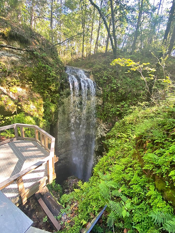 Standing at the edge of wonder, where gravity puts on a continuous show. The waterfall's misty performance disappears into Earth's mysterious backstage.