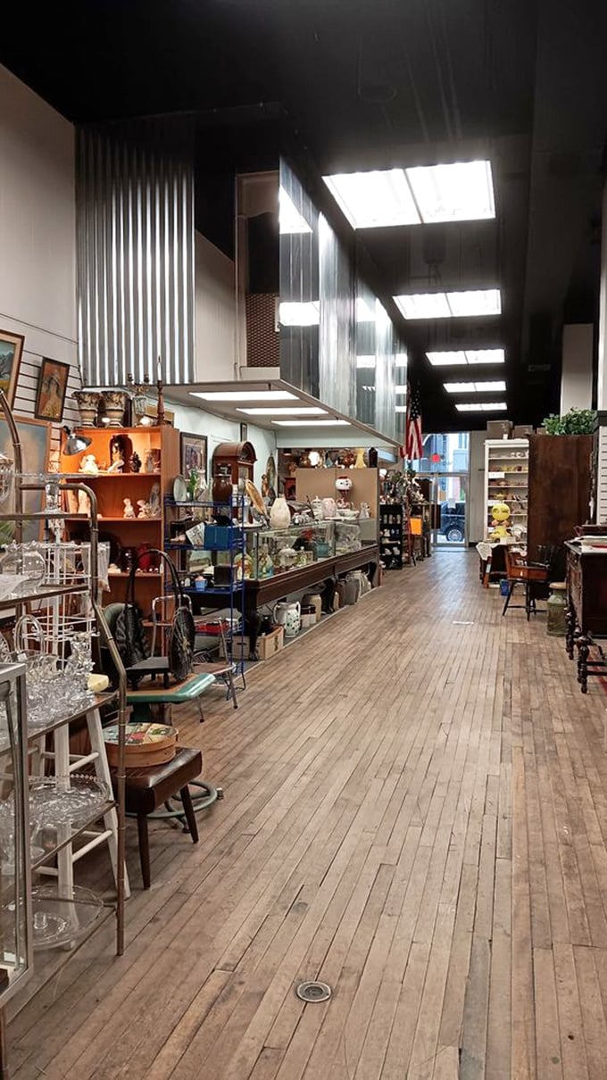 Wooden floors that creak with stories and shelves that stretch toward heaven. This isn't shopping—it's a historical expedition with price tags.