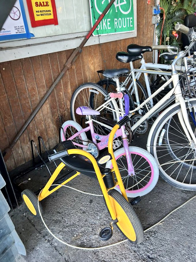 From vintage cruisers to kiddie trikes, the bicycle section offers wheels for every generation. Your childhood nostalgia is parked right here.