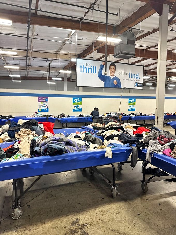 The famous blue bins, where clothing treasures hide in plain sight. This is where the real bargain athletes compete for fashion gold by the pound.