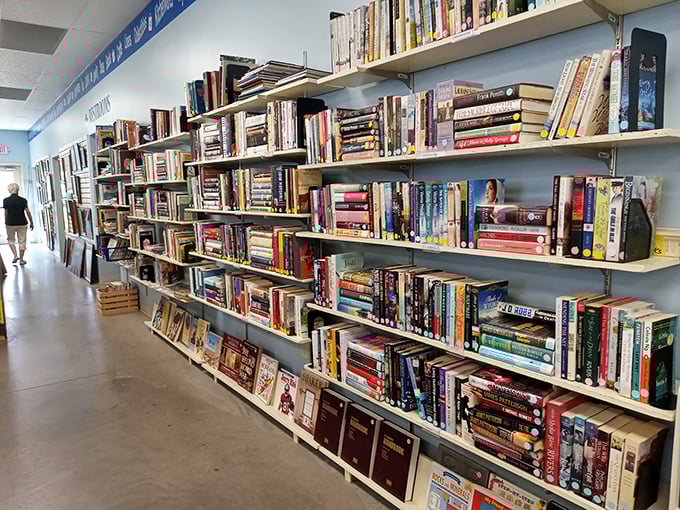 The book section rivals small-town libraries, offering literary journeys from dog-eared paperbacks to leather-bound classics.