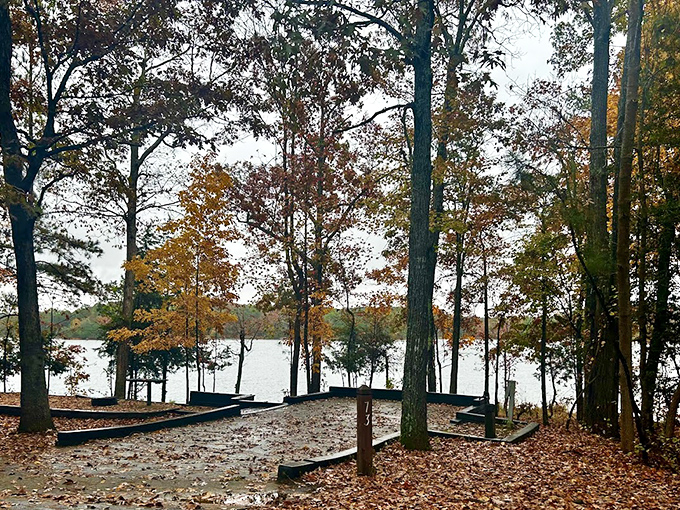 Fall's golden touch transforms Baker Creek's campsites into a painter's dream, where autumn leaves carpet pathways leading to tranquil lakeside views.