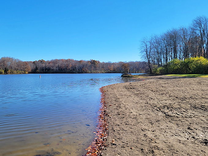 Where land meets water in perfect harmony. Stonelick's beach offers a sandy invitation to dip your toes or your entire self into refreshing Ohio wilderness.