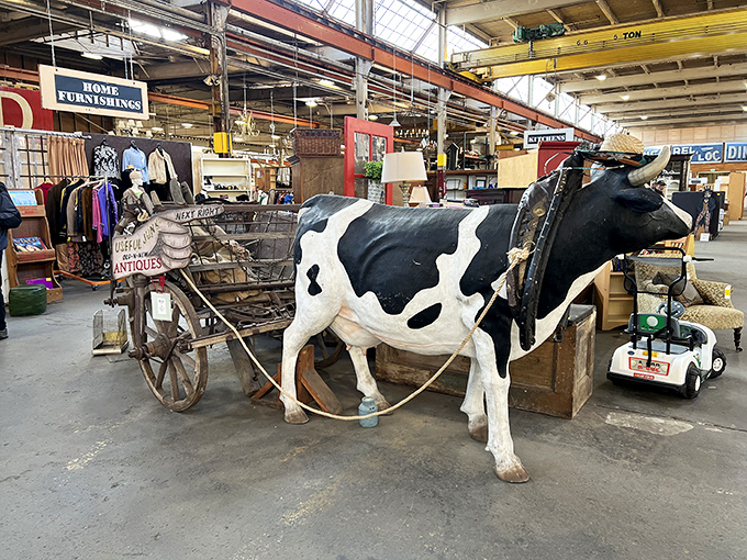 Not your average yard art! This life-sized cow and cart combo proves that at Second Chance, "udderly" ridiculous finds become must-have conversation pieces.