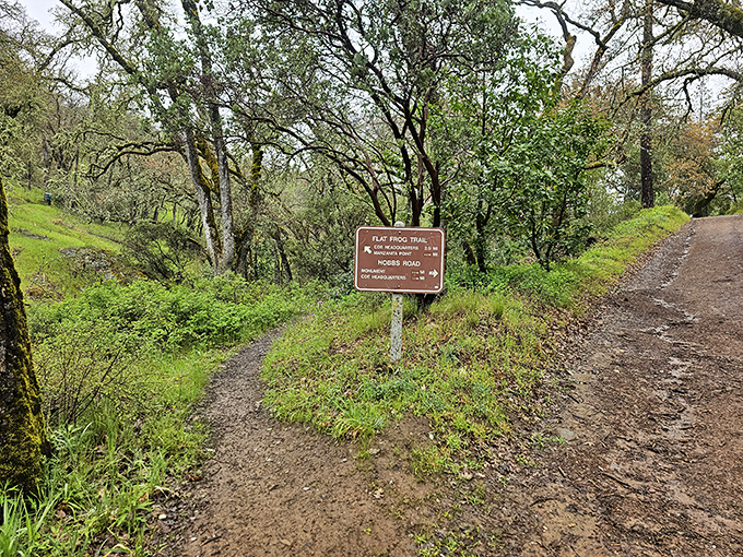 The fork in the road that promises adventure either way. Like choosing between desserts, there's no wrong answer here.