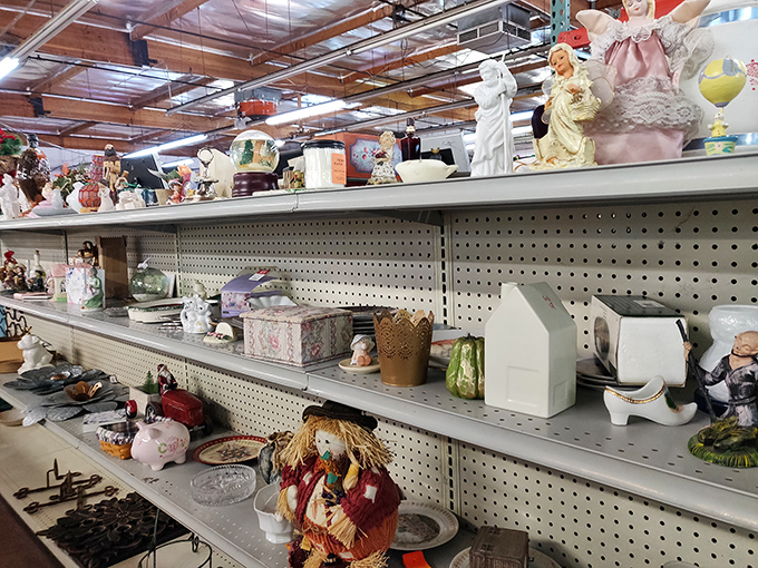 These display shelves hold more stories than a neighborhood gossip, each item patiently waiting for its next chapter.