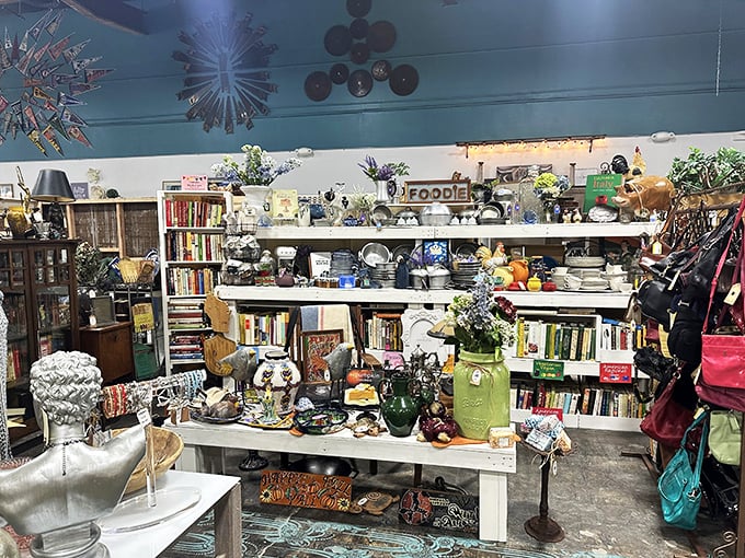 Books, treasures, and curiosities arranged with the care of a museum curator who actually wants you to find things.