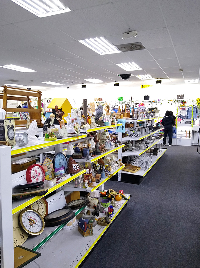 The home d&eacute;cor section is where forgotten treasures await their second act&mdash;those ceramic owls have seen things, and now they're ready to watch over your bookshelf.