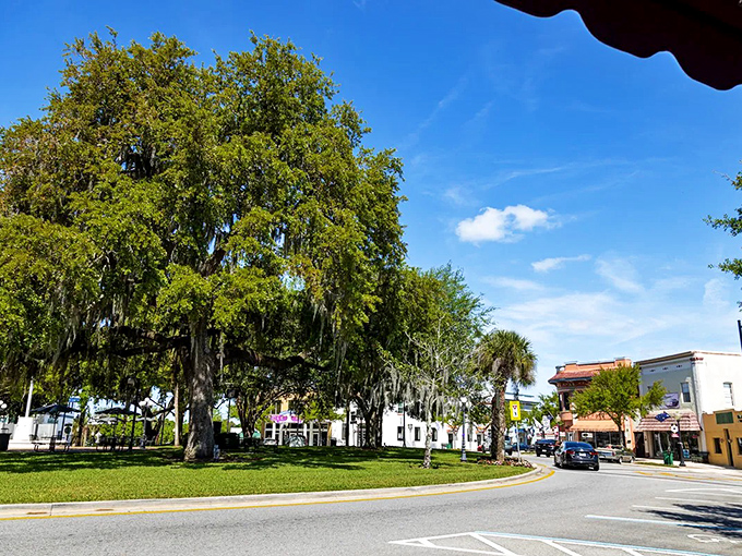 Circle Park's majestic trees stand guard over downtown, offering shade that feels like winning the Florida lottery on a scorching summer day.