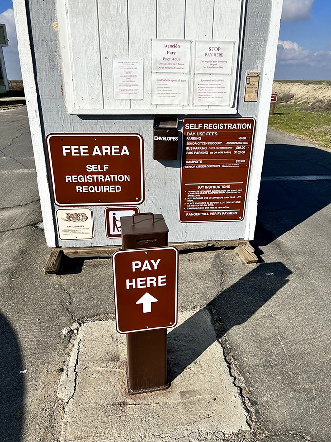 The humble payment station&mdash;proof that some of life's most enlightening experiences still cost less than dinner and a movie.