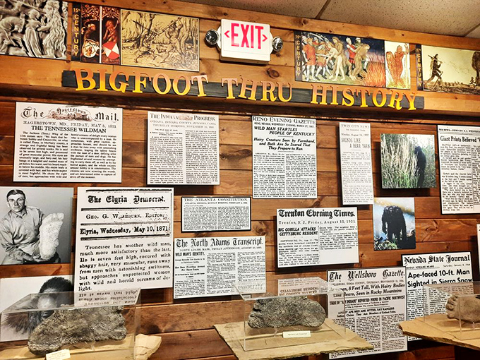 "Bigfoot Thru History" chronicles centuries of mysterious encounters, from vintage newspaper clippings to eyewitness accounts that'll make your hair stand on end.