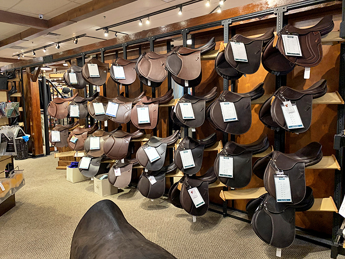 Not just saddles, but time machines that have carried riders through Georgia trails and beyond. Each one tells a story.